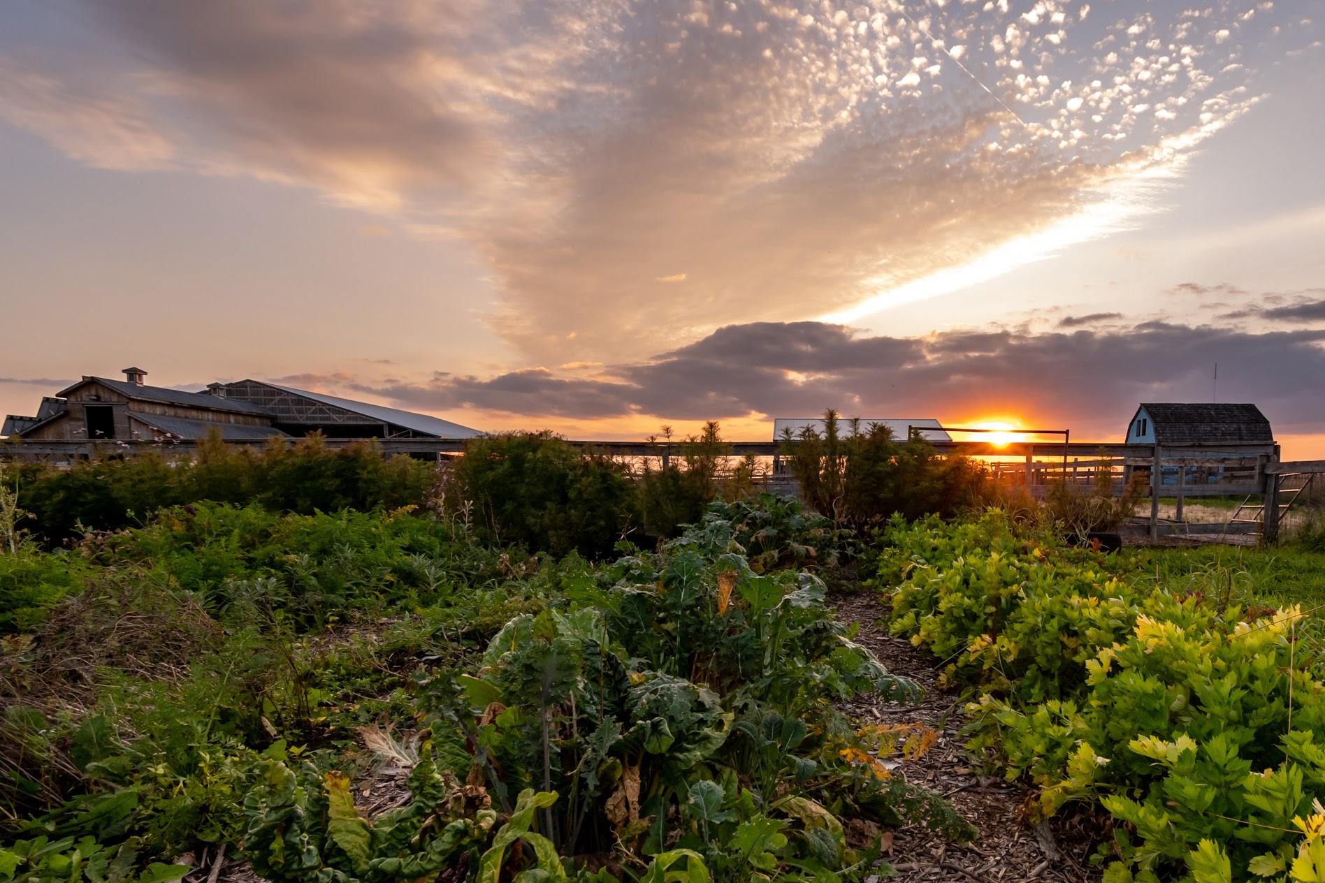 Outdoor Tours & Events – Doors Open Winnipeg